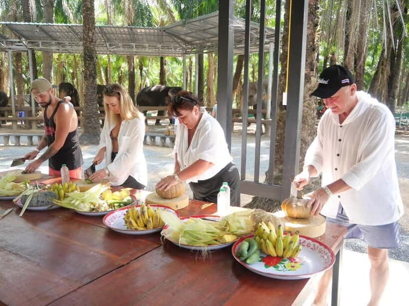 Krabi: Elephant Feeding Program with Food Preparation - Who Would Love This Tour?