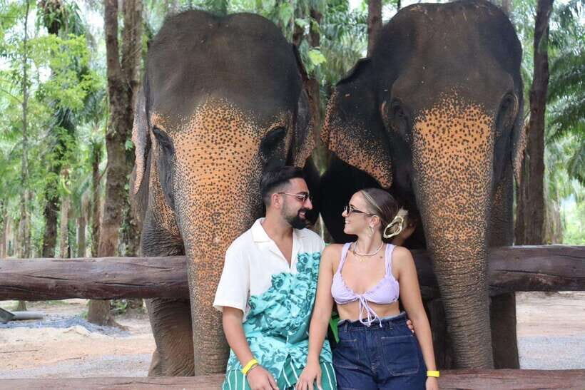 Krabi: Elephant Feeding Program - What Makes This Tour Stand Out