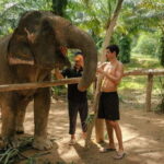 Krabi: Elephant Sanctuary (near Ao Nang) Visit - Who Should Consider This Tour?