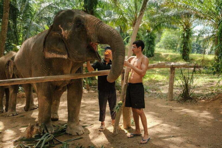 Krabi: Elephant Sanctuary (near Ao Nang) Visit - Who Should Consider This Tour?