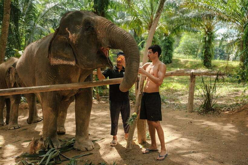 Krabi: Elephant Sanctuary (near Ao Nang) Visit - Who Should Consider This Tour?