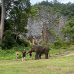 Krabi: Ethical Elephant Sanctuary & Tiger Cave Temple Tour - Final Thoughts on Value and Authenticity