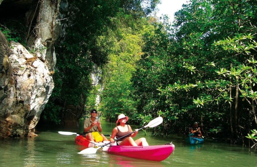 Krabi: Guided Kayaking Tour at Ao Thalane - Authentic Experiences and Real Traveler Impressions