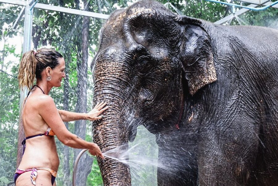 Krabi: Highlights Tour with Krabi Elephant Shelter - What to Expect on the Tour