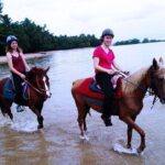 Krabi Horse Riding at The Beach - What You Can Expect from the Experience
