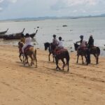 Krabi: Horseback Riding on the Beach - Who Will Love This Tour?