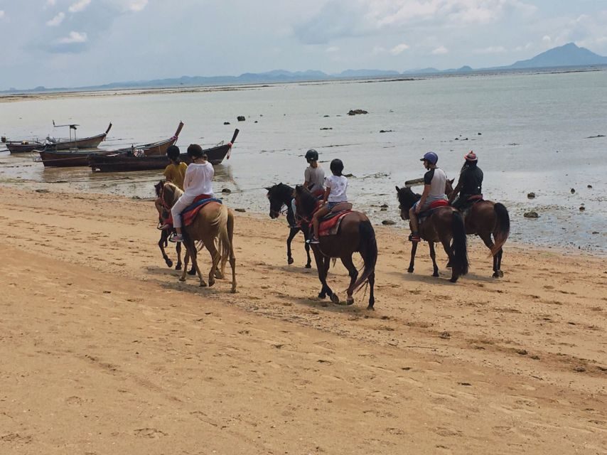 Krabi: Horseback Riding on the Beach - Who Will Love This Tour?
