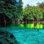 Krabi Jungle Tour with ATV Riding - Who Should Consider This Tour?