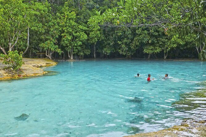 Krabi Jungle Tour:Hot Spring Waterfall,Emerald Pool & Tiger Cave - Who Will Love This Tour?