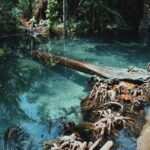 Krabi kayaking and swimming clongrood Tour - Possible Drawbacks and Considerations