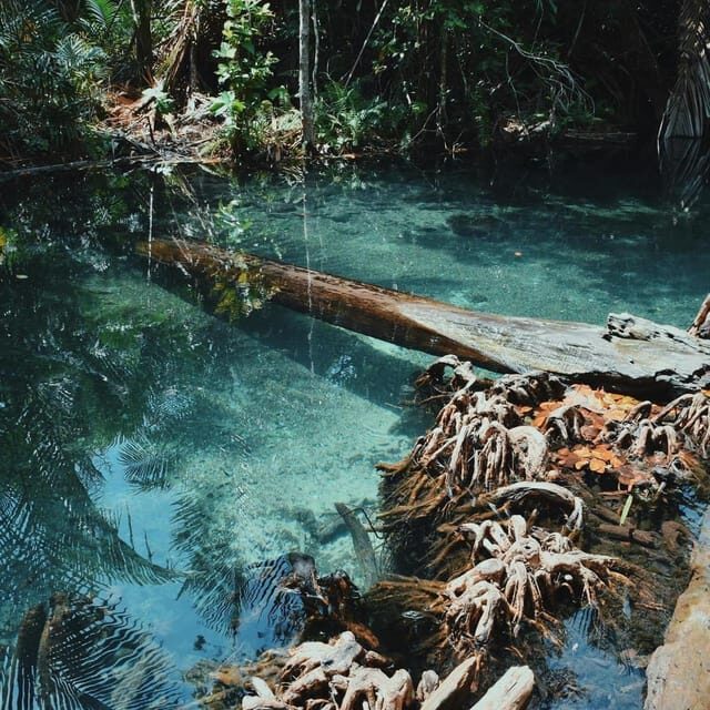 Krabi kayaking and swimming clongrood Tour - Possible Drawbacks and Considerations