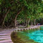 Krabi: Kayaking, Crystal Lagoon, and Fish Spa in Klong Root - The Practicalities: What You Need to Know