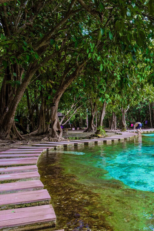 Krabi: Kayaking, Crystal Lagoon, and Fish Spa in Klong Root - The Practicalities: What You Need to Know