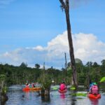 Krabi: South Kayak Klong Root Kayaking Tour - What You Can Expect from the Tour