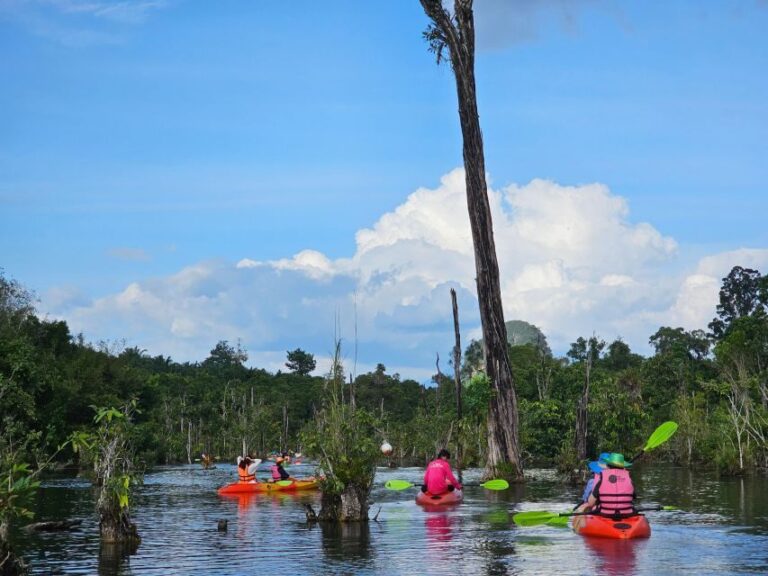 Krabi: South Kayak Klong Root Kayaking Tour - What You Can Expect from the Tour