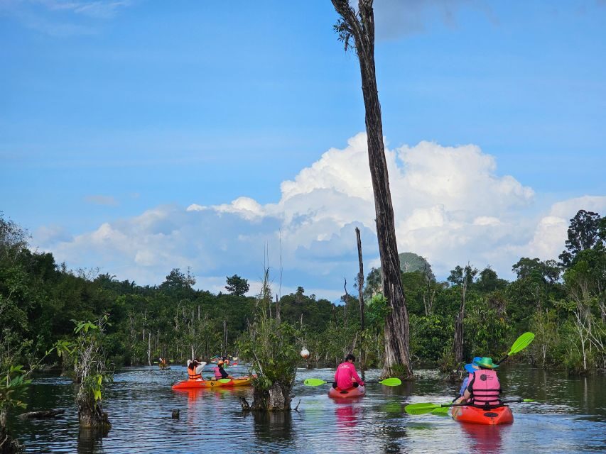 Krabi: South Kayak Klong Root Kayaking Tour - What You Can Expect from the Tour