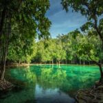 Krabi: Tiger Temple, Hot Springs & Crystal Pool Jungle Tour - Practicalities & What You Need to Know