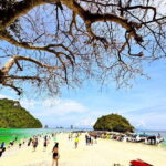 Krabi:Day Trip 4 Islands by Premium Longtail Boat with Lunch - A Deep Dive into the Tour Experience