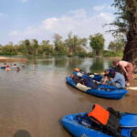 Kratie: Half-Day Kayak Adventure with Dolphin Watching - The Experience and What Travelers Say