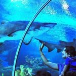 Kuala Lumpur: Aquaria KLCC Entry Ticket - The Itinerary Breakdown: What to Expect During Your Visit