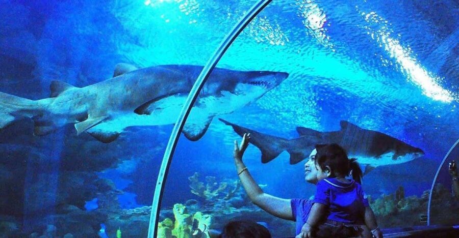 Kuala Lumpur: Aquaria KLCC Entry Ticket - The Itinerary Breakdown: What to Expect During Your Visit