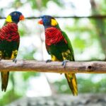 Kuala Lumpur Private Half-Day Family Tour of Nature, Birds and Butterflies - An In-Depth Look at the Tour