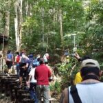Kuala Lumpur to Taman Negara Shuttle - What Makes Taman Negara Worth the Trip?