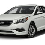 Kuala Lumpur to Taman Negara Shuttle - or vice versa - What Makes This Transfer Stand Out