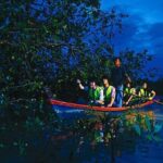 Kuala Selangor Fireflies Tour & Batu Caves Include Seafood Dinner - Who Will Love This Tour?