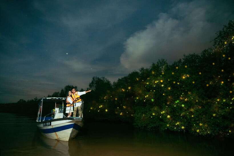 Kuala Selangor: Firefly and Blue Tears Tour - An Immersive Look at the Kuala Selangor Firefly & Blue Tears Experience