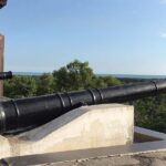 Kuala Selangor Wildlife & Fireflies Night Tour with Dinner - Analyzing the Value and Practical Aspects