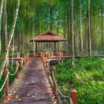 Kuala Sepetang Mangrove & Fireflies Tour with Dinner - Exploring the Itinerary