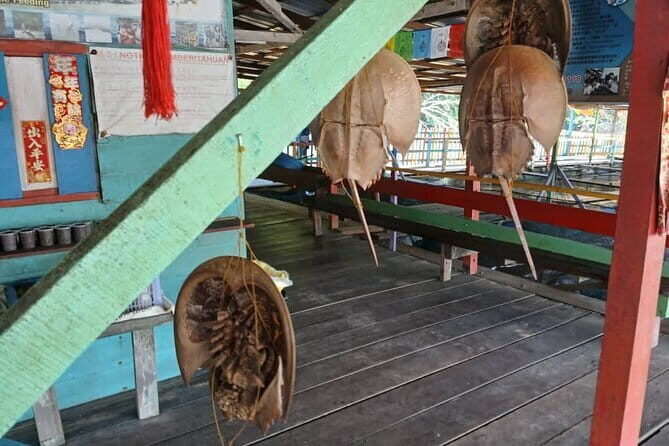 Kuala Sepetang Private Day Tour From Ipoh - Who Should Consider This Tour?