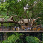 Kuang Si Waterfall, Tree Top Cafe, Ziplining - Exploring the Itinerary in Detail
