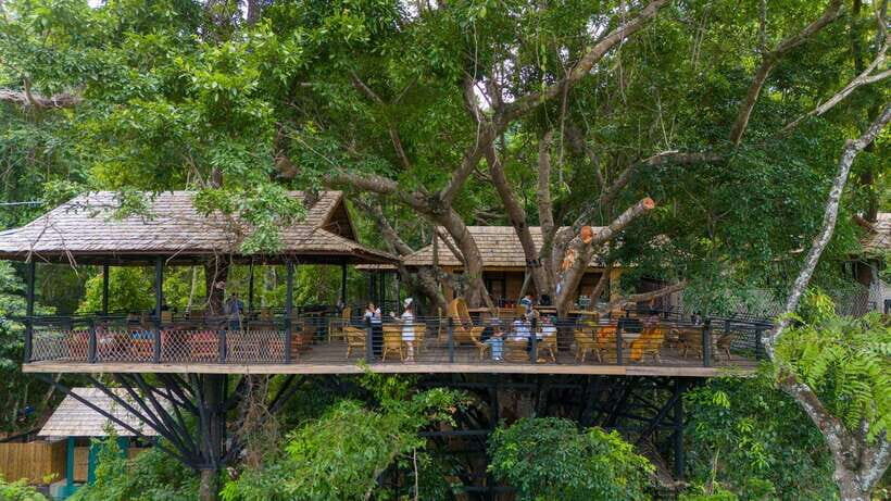 Kuang Si Waterfall, Tree Top Cafe, Ziplining - Exploring the Itinerary in Detail