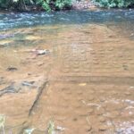 Kulen deep jungle explorations Private Tour - Practical Details and Value