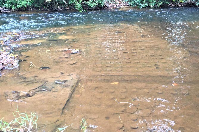 Kulen deep jungle explorations Private Tour - Practical Details and Value