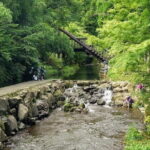 Kumamoto Castle Kusasenrigahama and Mount Aso tour from Fukuoka - What We Loved and What to Consider