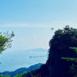 Kumamoto: Dolphin Watching and Zipline Experience Tour - The Dolphin-Watching Cruise