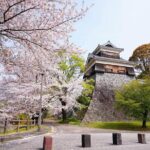 Kumamoto Private Customizable Full Day Tour - A Detailed Look at the Itinerary
