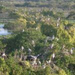 Kumana National Park Wildlife Safari - The Practicalities of the Tour