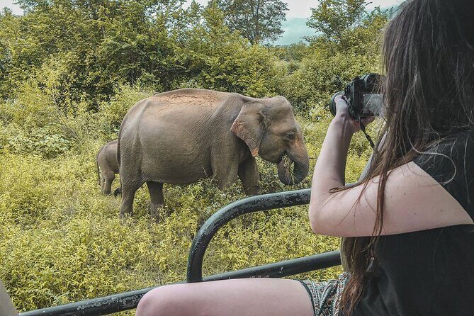 Kumana Safari Drive from Arugam Bay - Why the Price Reflects Good Value