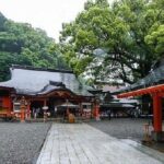 Kumano Kodo Half Day Daimonzaka and Nachi Taisha Tour - Breaking Down the Itinerary