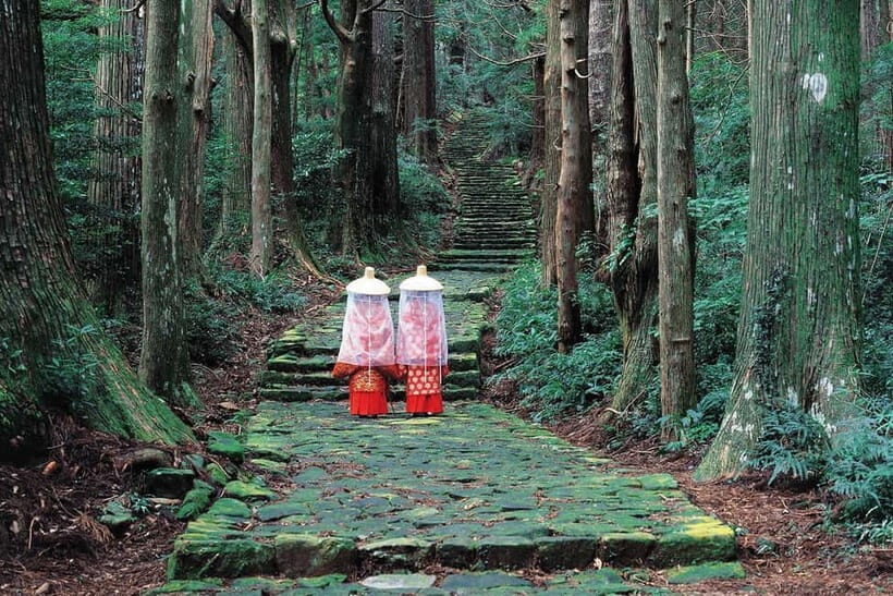 Kumano Kodo Hiking Day Tour from Osaka - What’s Included and What to Know