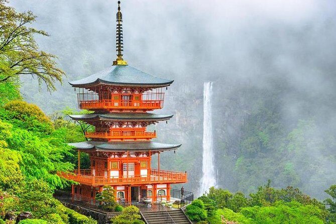 Kumano Kodo Pilgrimage Full-Day Private Trip with Government Licensed Guide - Why This Tour Offers Great Value