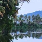 Kumarakom Explore Backwaters & Birds at Coconut Lagoon Pick&Drop - An In-Depth Look at the Experience