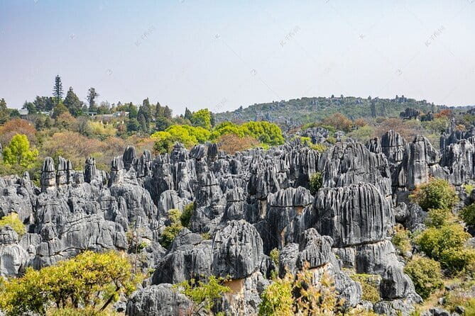 Kunming Dali and Lijiang 4-day Private Tour from SHANGHAI - Transportation & Practicalities