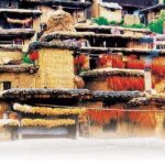 Kunming Private Day Tour to Stone Forest and Chengzi Ancient Town - Practical Details and Tips