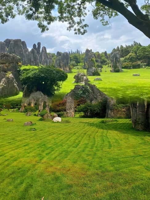 Kunming: Stone Forest and Dianchi Lake Day Trip with Lunch - Practical Details & What Travelers Say