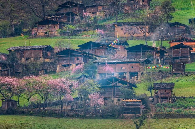 Kunming: Stone Forest & Chengzi Ancient Village Private Tour - Practical Tips for Visitors